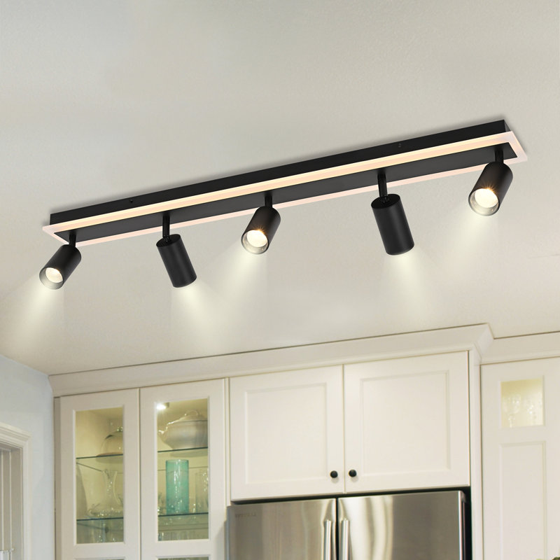 Latitude Run® 5-Lights LED Track Lighting Fixtures Ceiling, Black Flexible Directional Ceiling ...